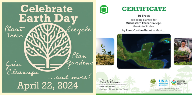 7 Ways to Celebrate Earth Day in 2024